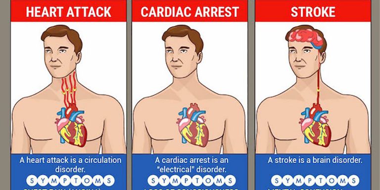 Difference Between Stroke And Heart Attack Apollo Hospitals Blog